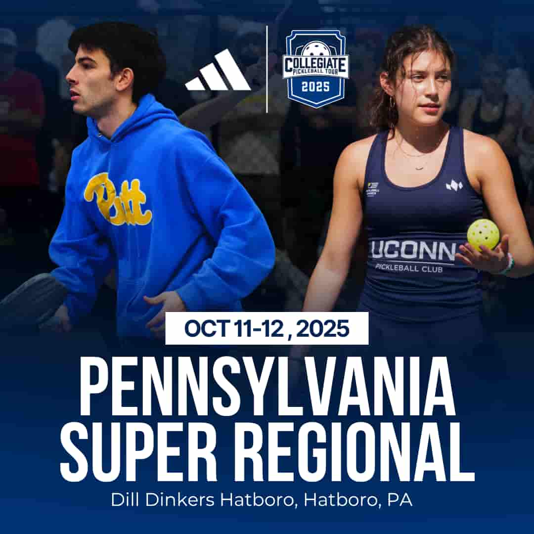 DUPR Blog | What Is a Dink in Pickleball?